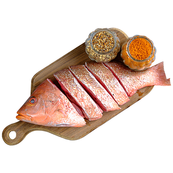 Buy fresho! Bhola Fish Whole Small-B Online at Best Price of Rs 220 ...