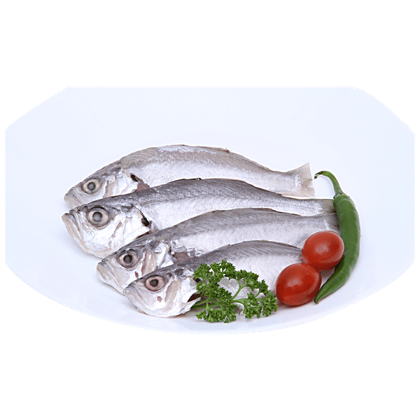 Buy fresho! Japani Puti Fish Whole - B Online at Best Price of Rs 850 ...