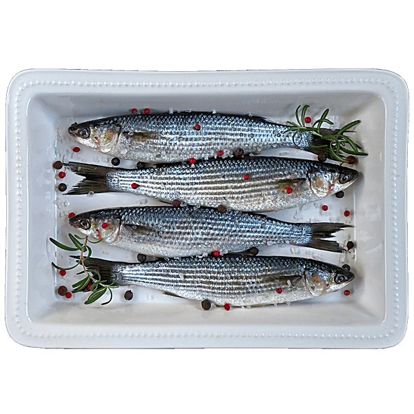 Buy fresho! Tengra Fish Whole - B Online at Best Price of Rs 435 ...