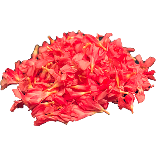 Buy Hoovu Fresh kanagale/Oleander Online at Best Price of Rs 26.28 ...