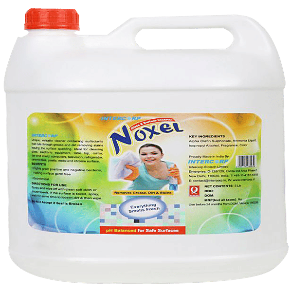 Buy Intercorp Noxel Glass & Surface Cleaner Sprayer - Jumbo Saver Pack ...