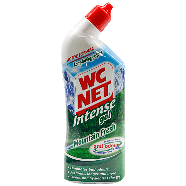 Buy Wc Net Intense Gel Mountain Fresh Online at Best Price of Rs 225 - bigbasket