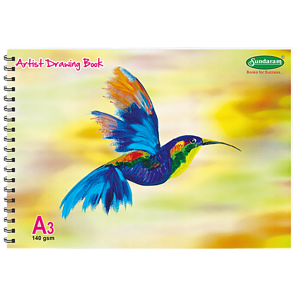 Buy Sundaram Artist Drawing Book - 420 mm x 295 mm, A3, 100 Pages ...