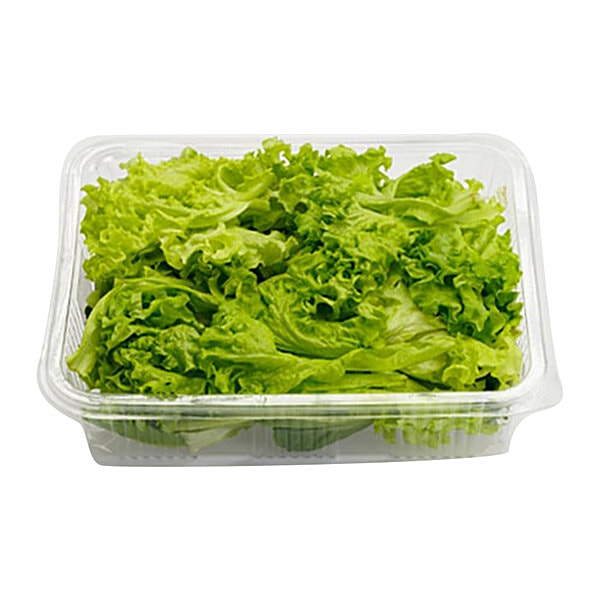 Buy fresho! Lettuce Mix - Hydroponically Grown Online at Best Price of ...