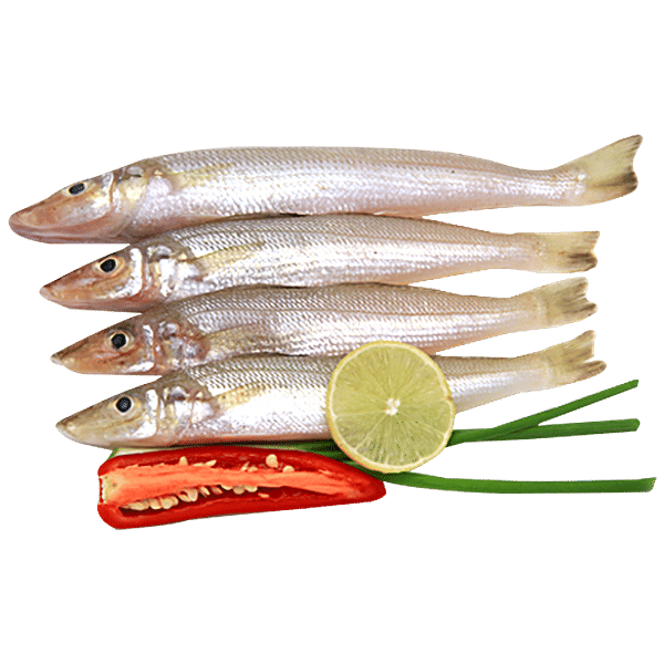 Buy fresho! Kolkata/Bengali Aar fish Whole cleaned Online at Best Price ...