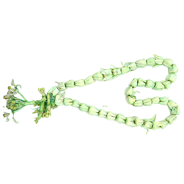 Buy fresho! Ekkada Hoovu String - Used To Decorate, For Festivals ...