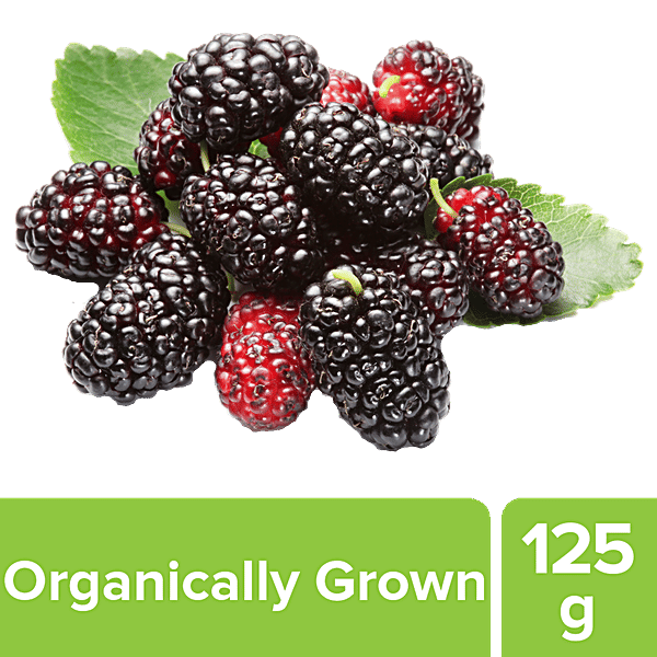 Buy fresho! Mulberry - Organically Grown, Fresh Online at Best Price of ...