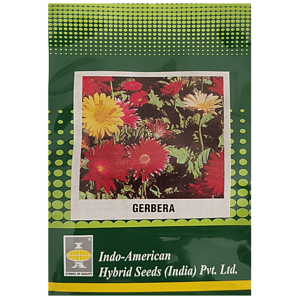 Buy Indo American Hybrid Seeds (India) Pvt. Ltd. Gerbera Mega ...