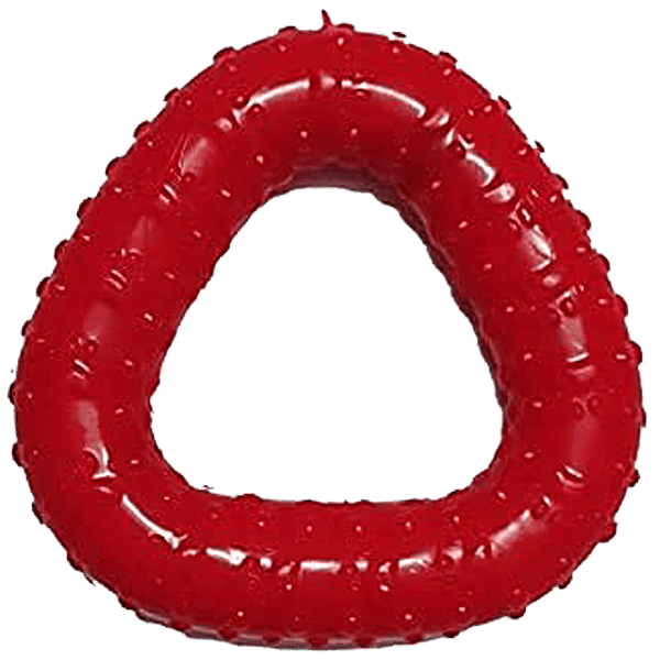 Buy First Pet Natural Rubber Triangle Toy - Chew Toy For Teething ...