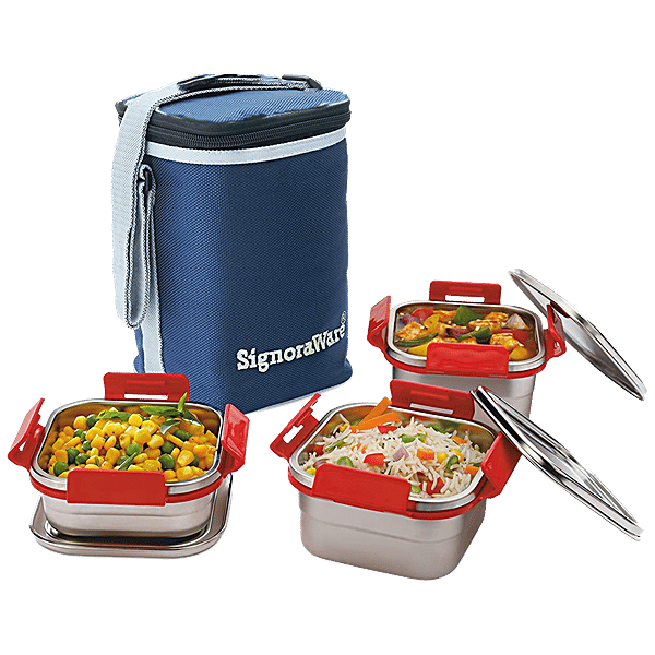 Buy Signoraware Director Squarex Steel Lunch Box Set With Lid & Bag ...