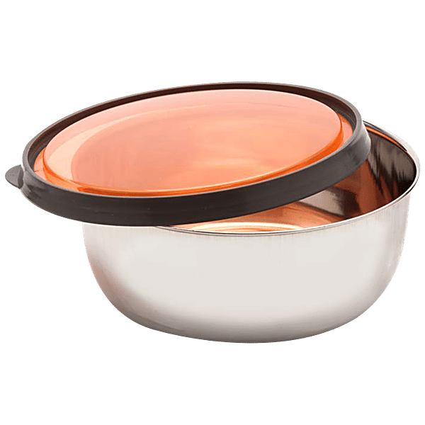 Buy Signoraware Elegant Steel Container - High Quality, Airtight Online ...