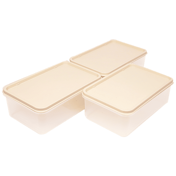 Buy Unica Flamante Rectangular Containers Set - Durable, Storage Boxes ...