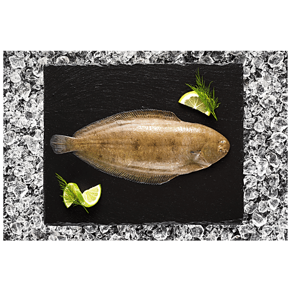 Buy fresho! Sole Fish -Whole & Uncleaned, Great Source Of Calcium ...