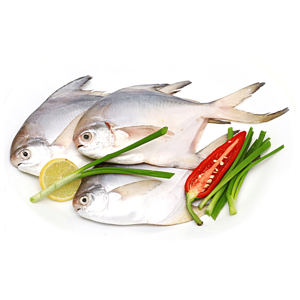 Buy fresho! White Pomfret Small - Whole & UnCleaned Online at Best ...