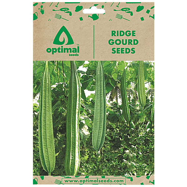 Buy Optimal Seeds Ridge Gourd Vegetable Seeds Online at Best Price of ...