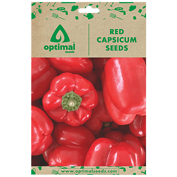 Buy Optimal Seeds Red Capsicum Vegetable Seeds Online at Best Price of ...