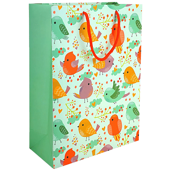 Buy CS Paper Hand Gift Carry Bag - Medium Online at Best Price of Rs 79 ...