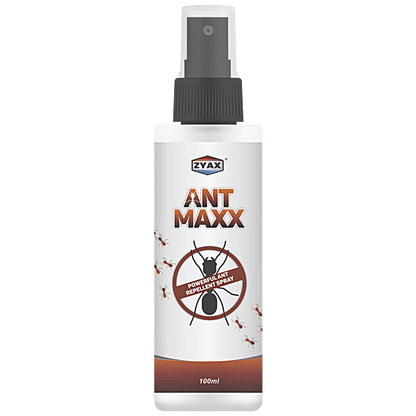 Buy Zyax Ant Maxx Ant Repellent Spray Online at Best Price of Rs 424.15 ...