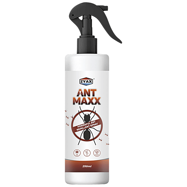 Buy Zyax Ant Maxx Ant Repellent Spray Online at Best Price of Rs 799 ...