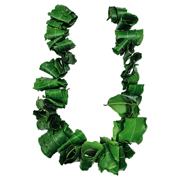 Buy Fresho Ashoka Leaves String - To Decorate, For Festivals & Puja ...