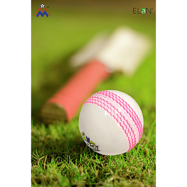 Buy Elan T20 Ball - PVC Material, White, For 12+ Years Online at Best ...