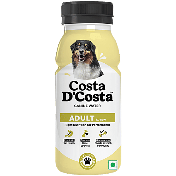 Buy Costa D'Costa Canine Water For Dogs - 1 To 8 Years Online at Best ...