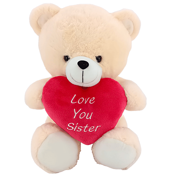 Buy Dimpy Stuff Dimpy Stuff Teddy Bear - With "Love you Sister" Quote ...