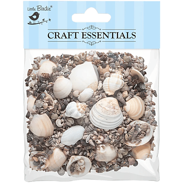 Buy Little Birdie Seashells Assorted - Craft Essentials Online at Best ...