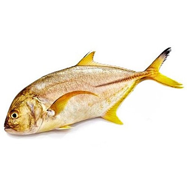 Buy Antony Fish Shop. Fish - Thenga Paarai / Coconut Trevally Online at ...