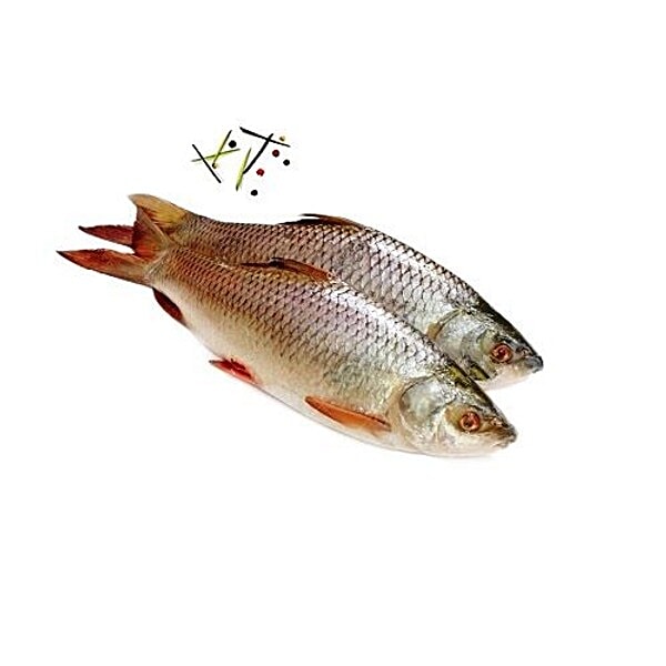 Buy Ocean Fresh Fish - Cutla Slices Online at Best Price of Rs null ...