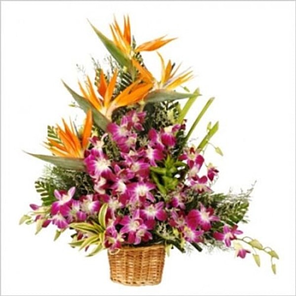 Buy Blooms Bouquets Flower Bouquet Basket Of Bop Orchids 1 Pc Online at ...