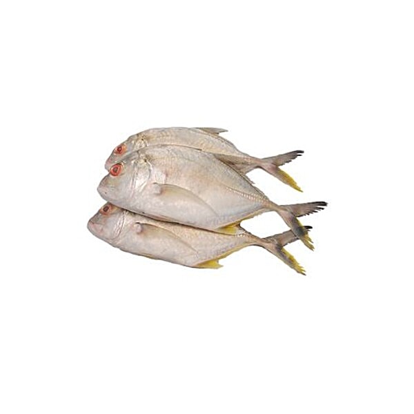 Buy Nolambur Daily Fresh Fish Travelly Fish Paarai 1 Kg Online at the ...