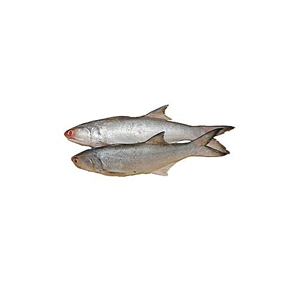 Buy Fish O Fish Fish Kala 1 Kg Online at the Best Price of Rs null ...