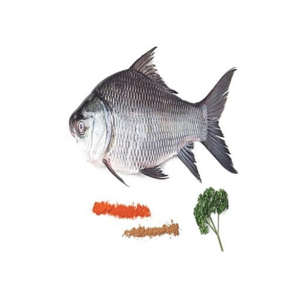 Buy Dummy Fish - Catla Online at Best Price of Rs 300 - bigbasket