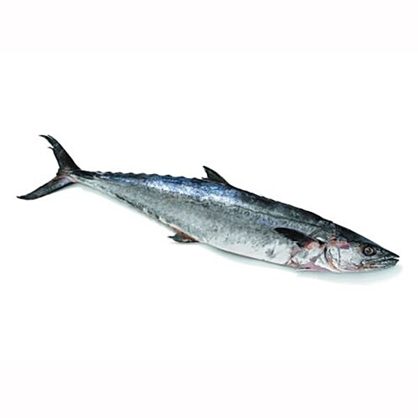 Buy Sai Fisheries Fish - Seer Online at Best Price of Rs null - bigbasket