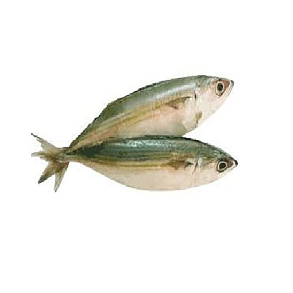 Buy Saurabh Fish Farm Fish - Mackerel / Bangda Online at Best Price of ...