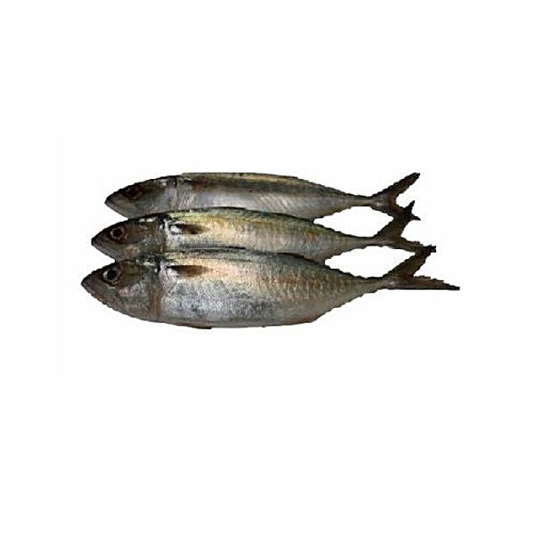 Buy Fresh Fish Chicken Mutton Mart Fish - Mackerel 500 gm Curry Cut ...