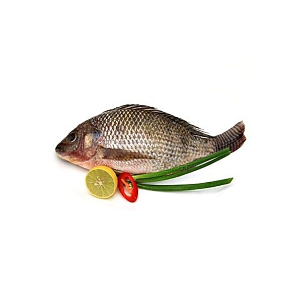 Buy Atuls Only Fresh Fish Tilapia 1 Kg Online at the Best Price of Rs ...