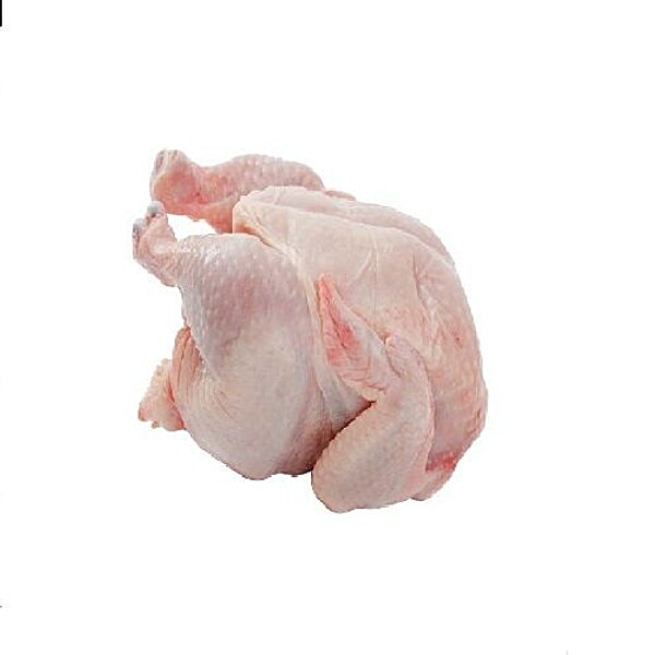 Buy Punjab Meat Shop Sector 37 Chicken Broiler Dressed 500 Gm Online at ...