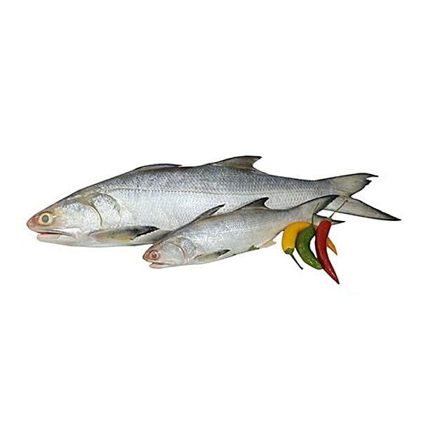 Buy The Seafood Meat Co Fish Indian Salmon Rawas Slices 500 Gm Online ...