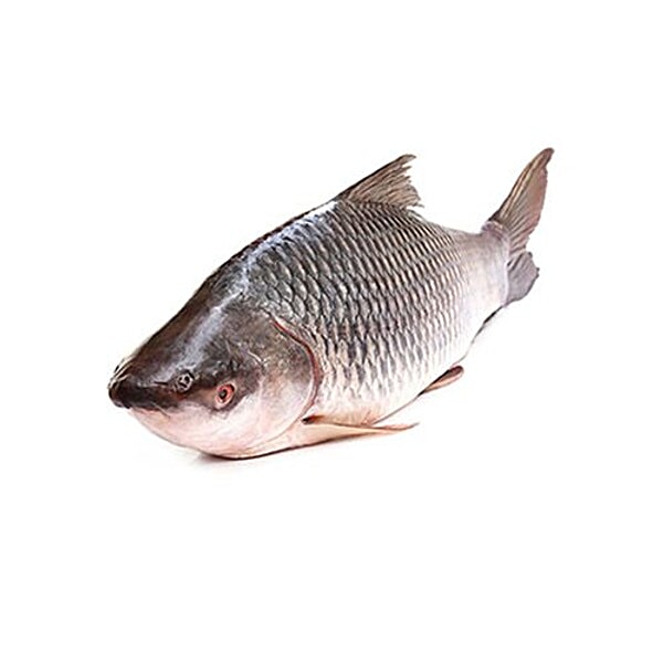 Buy Fish King Fish - Pandugappa (Perch) Online at Best Price of Rs null ...