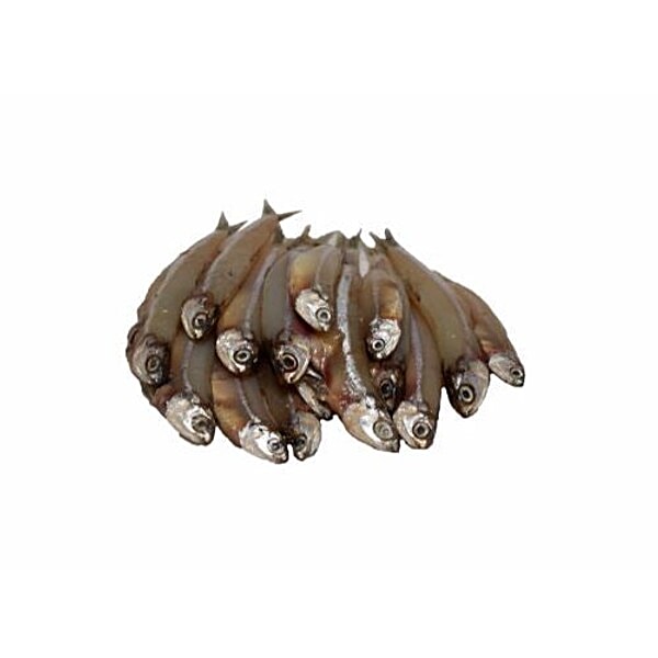Buy Fresh Catch Fish - Indian Anchovy / Nethili Big 500 gm (Just ...