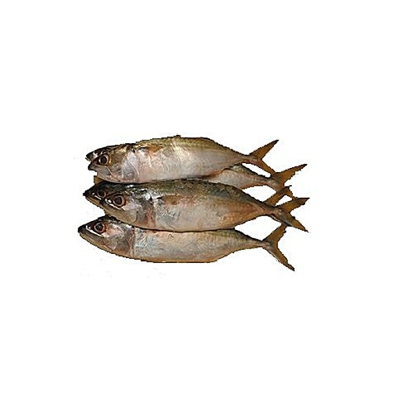 Buy JB Seafoods Fish - Indian Mackerel / Ayila Online at Best Price of ...