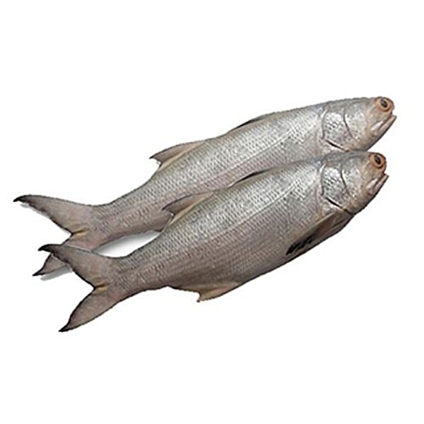 Buy ME FRESH Fish - Indian Salmon 1 kg (Curry cut) Online at Best Price ...