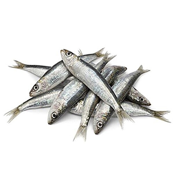 Buy ME FRESH Fish - Sardine / Mathi 1 kg (Bengali Cut) Online at Best ...