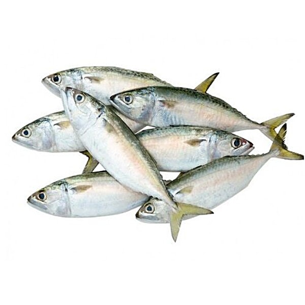 Buy Bengali Fish Corner Fish - Mackerel / Ayala / Bangda Online at Best ...