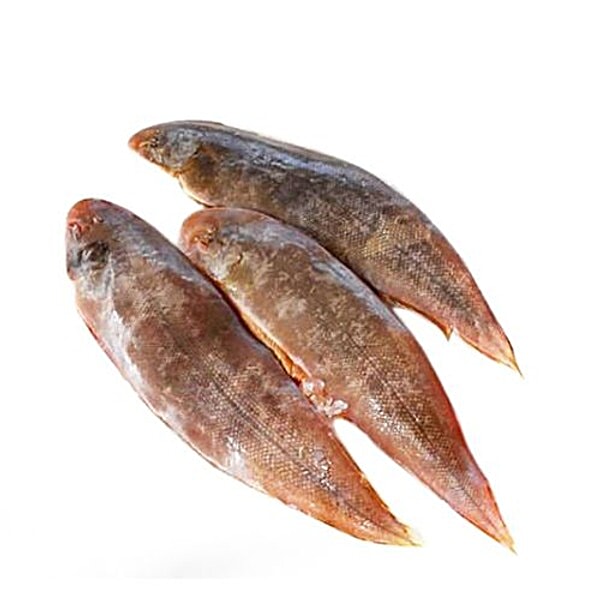Buy Roy's Meat & Fish Fish - Sole Fish Online at Best Price of Rs null ...