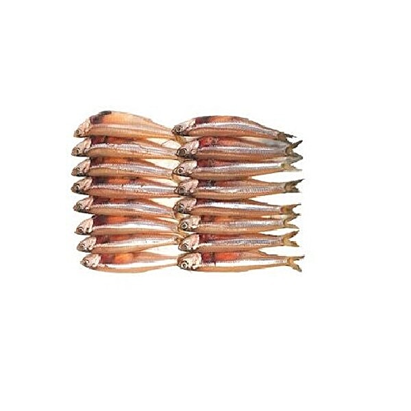 Buy Nolambur Daily Fresh Fish - Anchovies / Nethili Online at Best ...