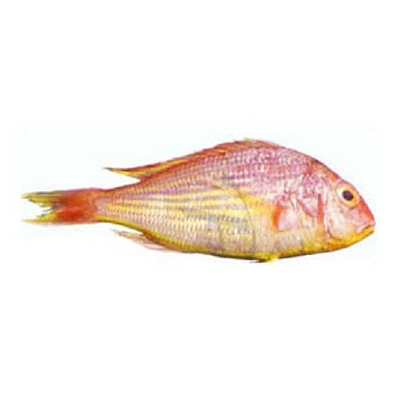 Buy Fresh Catch Fish - Pink Perch Fresh Catch Online at Best Price of ...