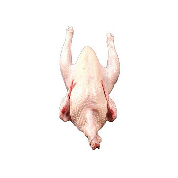Buy Sneha poultry trading Chicken - With Skin Online at Best Price of ...